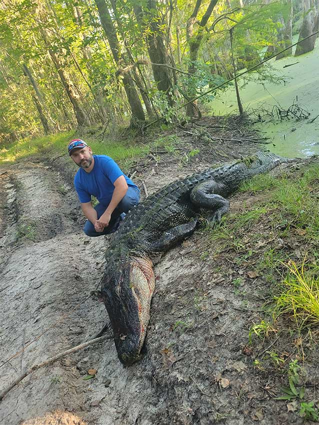 Texas Man Tags 13-Foot Alligator in Season’s Opening Week - Wide Open ...