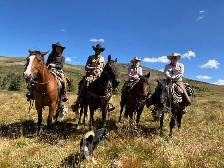 Horseback Camping Trips: How to Pack Your Gear the Right Way