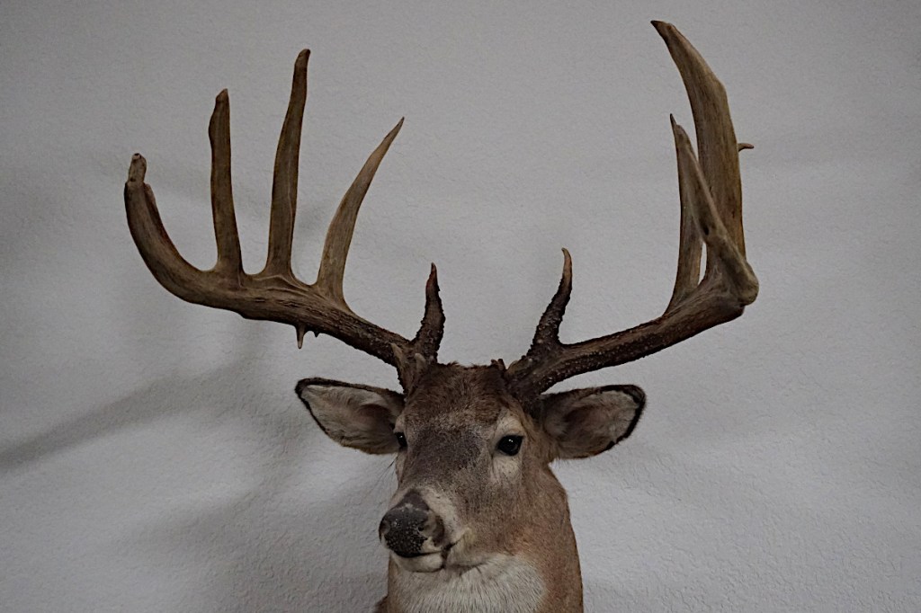 The John Breen Buck Is One of the Biggest 10-Pointers Ever Shot