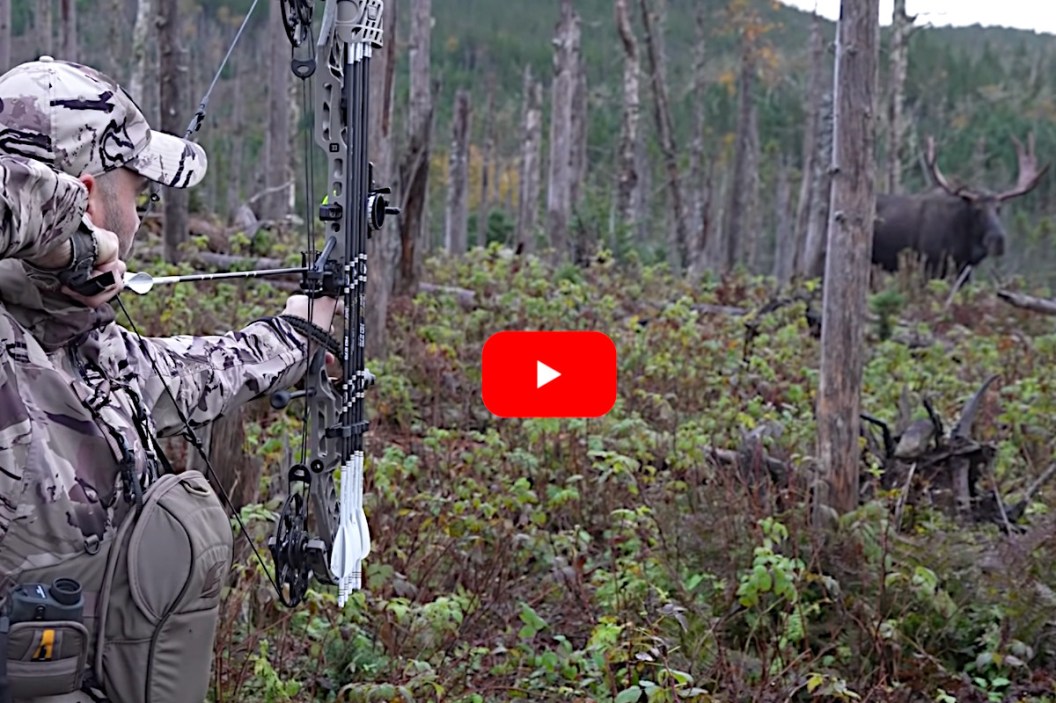 Big Canadian Bull Moose Takes Two Perfect Pass-Through Shots To Bring Down