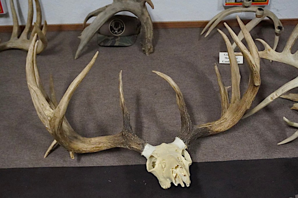 The Milo Hanson Buck: The Story and Value of the World Record Buck