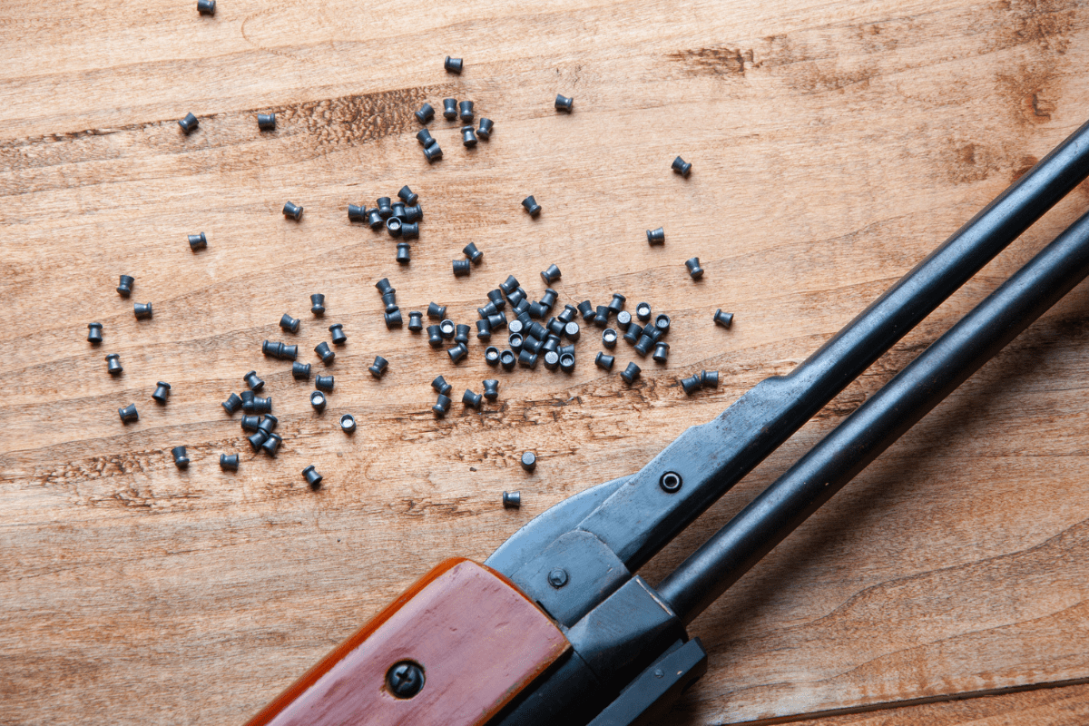 Best Pellet Guns: 5 Air Guns Great for Small Game Hunting
