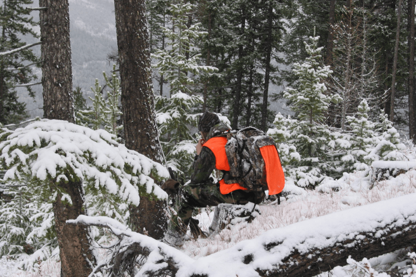 First Signs of Deer Blood: What They Can Tell You About the Hit