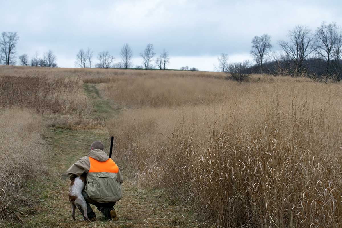 7 Signs You’re Going to Have a Bad Upland Bird Hunt - Wide Open Spaces