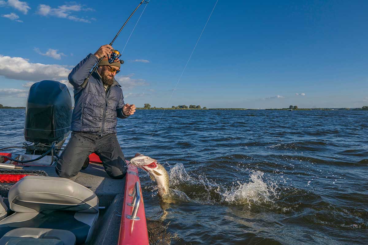 Is This the Best Way to Safely Unhook a Pike? - Wide Open Spaces
