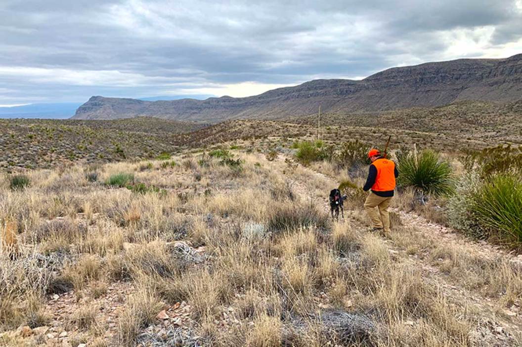 The Art of Upland Hunting: Explaining My Concept of "UplandJitsu ...