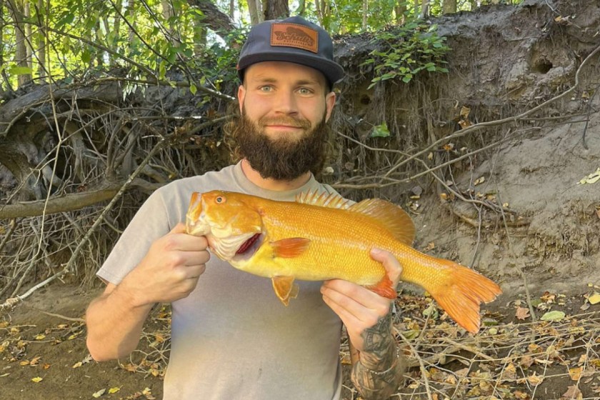 Michigan Angler Catches, Releases Rare Golden Smallmouth Bass