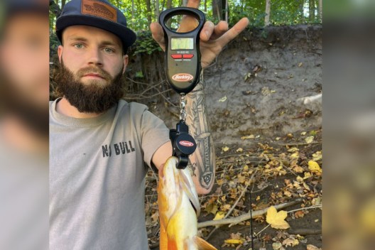 Michigan Angler Catches, Releases Rare Golden Smallmouth Bass