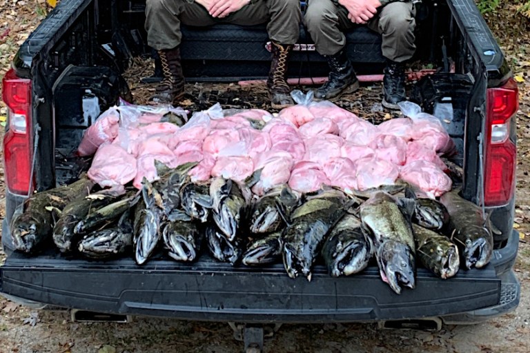 People Who Illegally Kill Wildlife Are Poachers Not Hunters