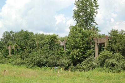 Re-Examining The Legend of the Mothman Nearly 60 Years Later