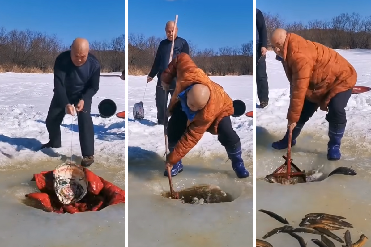 Two Fishermen Stun and Scoop Fish Through the Ice With a Strange ...