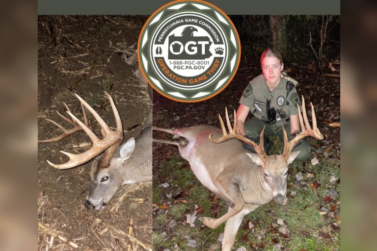 Poached 36-Point Buck Found in Illinois, Authorities Need Leads