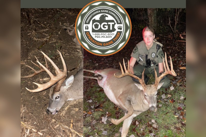 Big Pennsylvania Buck Poached, Authorities Seeking Leads