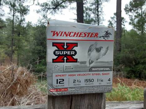 Waterfowl Hunting Tips: 10 Pieces of Advice From an Expert