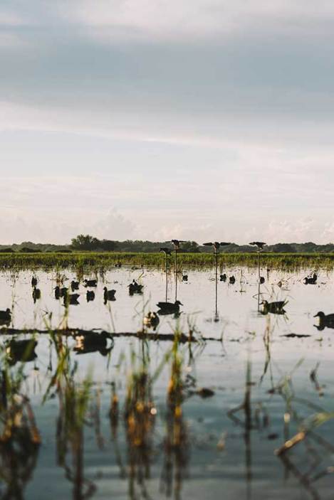 TXTeal: Hunting Ducks and Enjoying Life With Heyday Outdoor and Can-Am ...