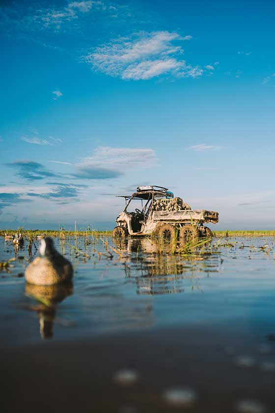 When Your Waterfowl Spot Freezes, Follow These Steps