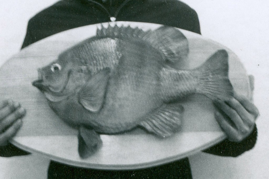 The World Record Bluegill Has Stood for 70+ Years and Counting