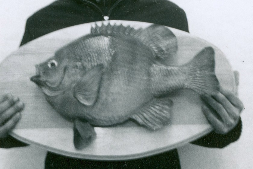 The World Record Bluegill Has Stood for 70+ Years and Counting