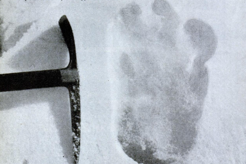 The Yeti Monster's Likely Explanation Isn't As Weird As We Thought