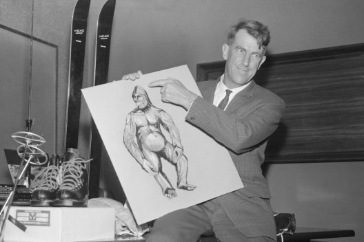 The Yeti Monster's Likely Explanation Isn't As Weird As We Thought