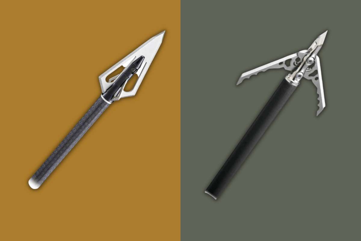 Best Broadheads for Whitetail Deer