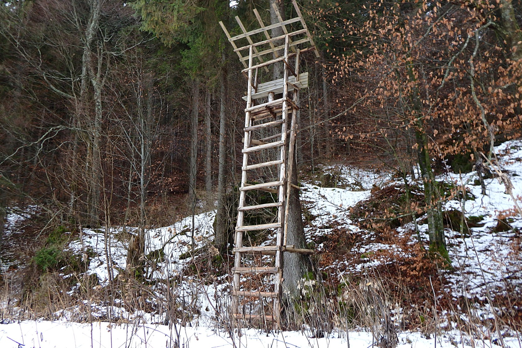 Treestand Safety: Tips to Avoid a Fall when Hunting from Above