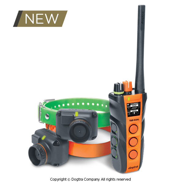 4 Best Hunting Dog Collars - Wide Open Spaces