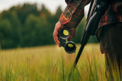 Hunting Thick Cover: 4 Tips to Help When the Deer Are in the Thick Stuff