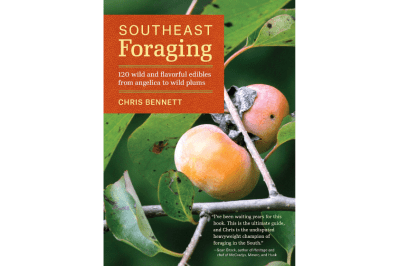 Best Foraging Books: 7 Titles Every Forager Needs to Read