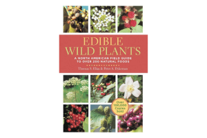 Best Foraging Books: 7 Titles Every Forager Needs to Read