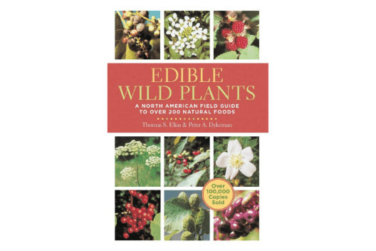 Best Foraging Books: 7 Titles Every Forager Needs to Read