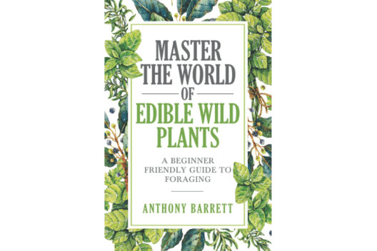 Best Foraging Books: 7 Titles Every Forager Needs to Read