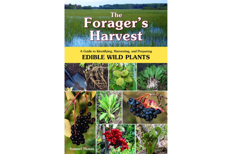 Best Foraging Books: 7 Titles Every Forager Needs to Read