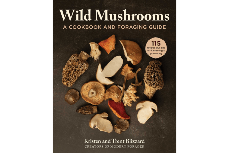 Best Foraging Books: 7 Titles Every Forager Needs to Read