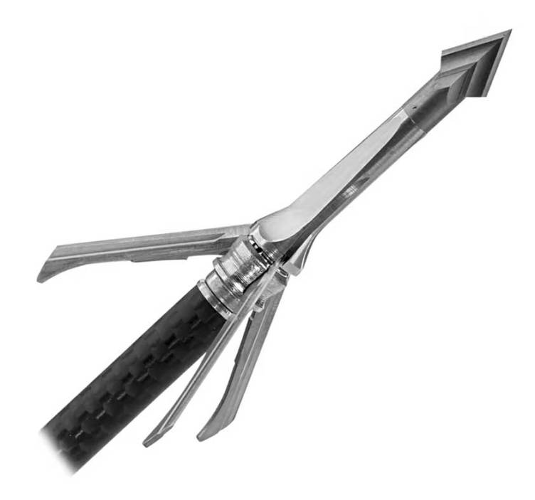 Best Broadheads for Whitetail Deer
