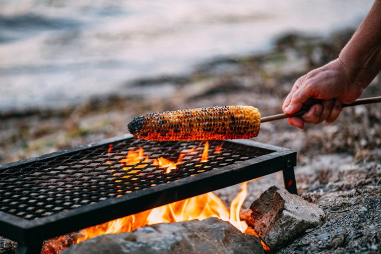 What Deer Can Smell: Know Which Scents Are Spooking Deer