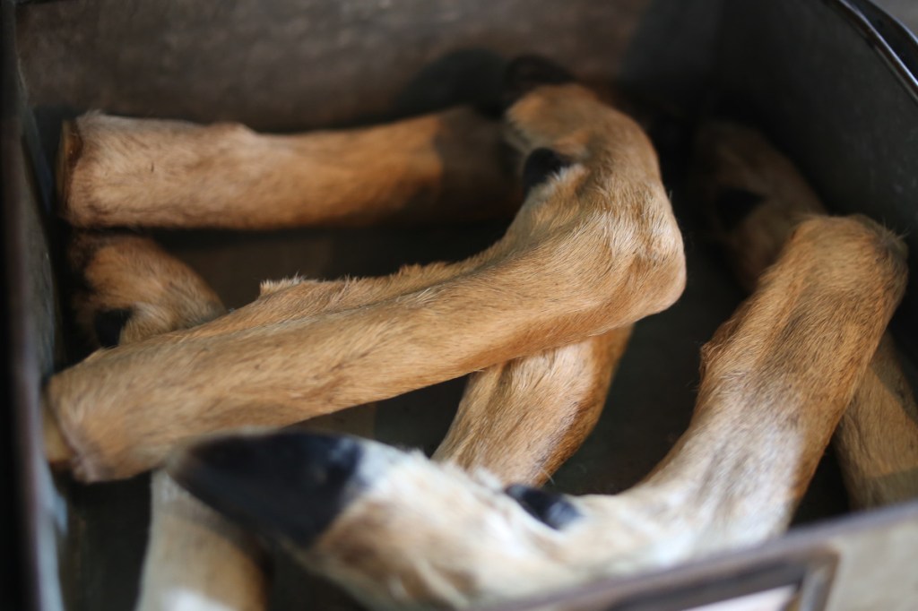 Deer Hooves: Weird Things To Know About Deer Feet