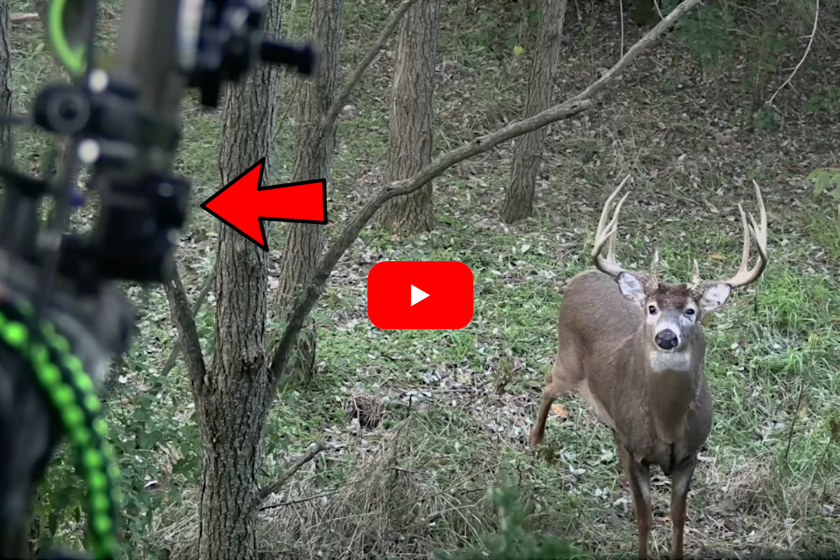 Young Hunter Has Priceless Reaction After Arrowing Big 10-Pointer