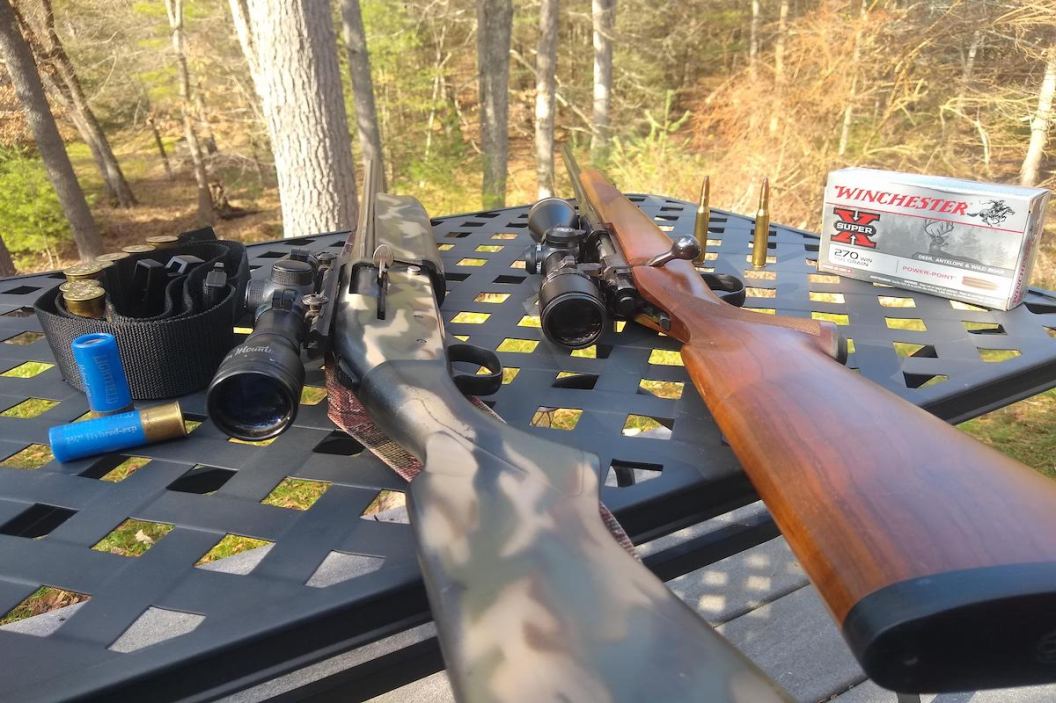 20 Gauge Shotgun Slugs Take Out Deer at 300 Yards