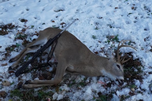 Michigan Muzzleloader Season, Dates and Regulations to Know