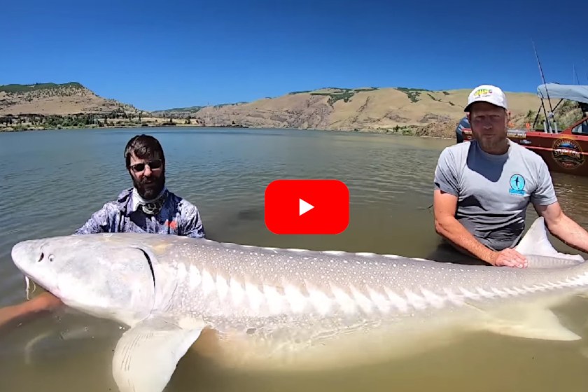 Jeremy Wade: All About the "River Monster" Host and Freshwater ...
