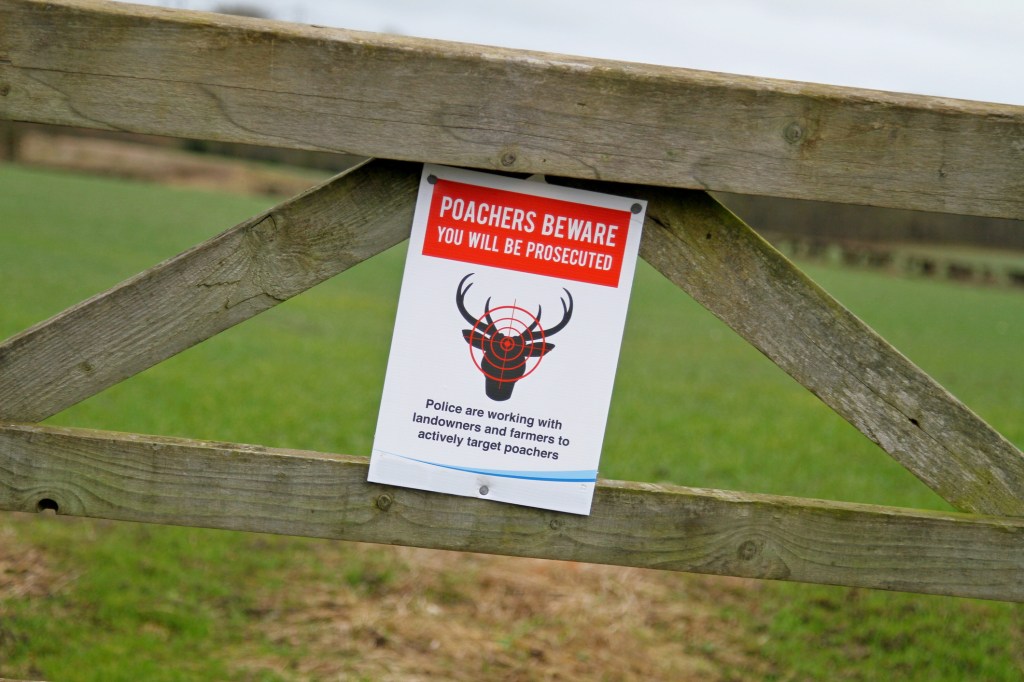 People Who Illegally Kill Wildlife Are Poachers Not Hunters