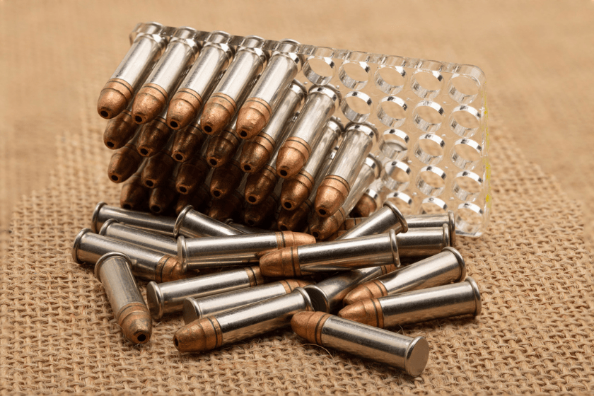 Best Rimfire Ammunition for Any Small Game Hunters