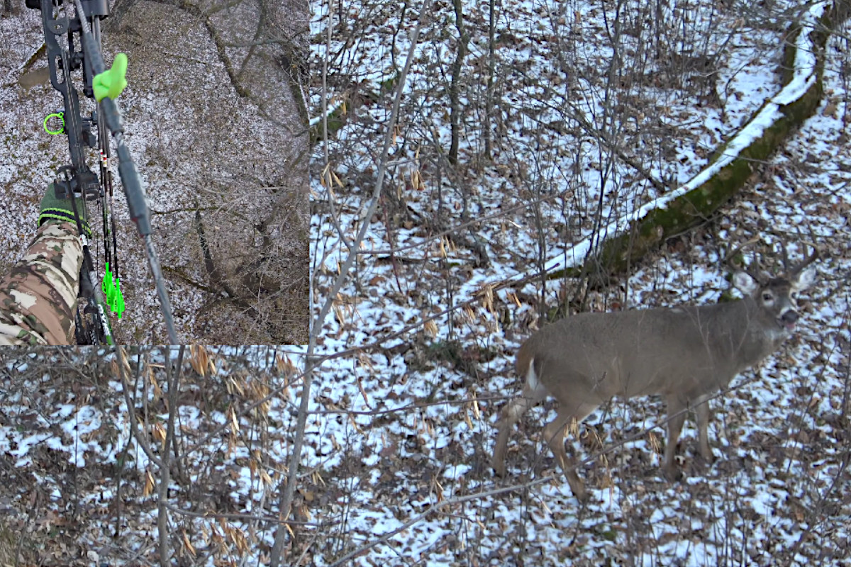 Bowhunter Lays Out the Perfect Ambush For a Public Land Buck