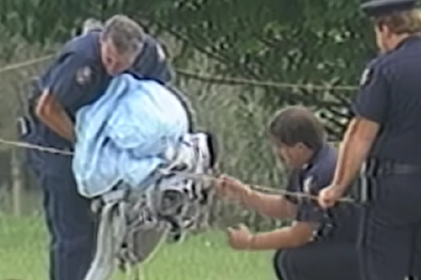 The True Story of 'Cocaine Bear' is the Weirdest Wildlife Story Ever