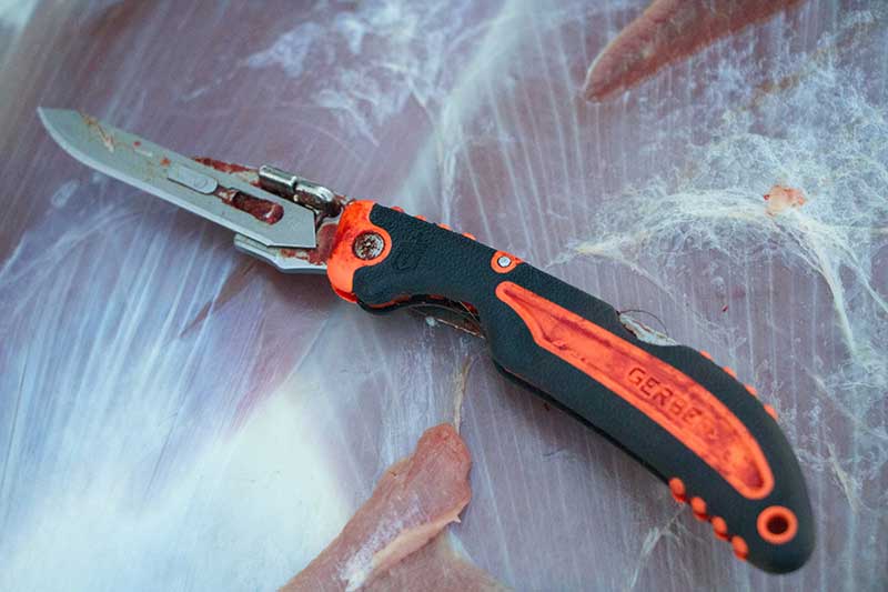 Elk Field Dressing Gear: Everything Needed After the Shot