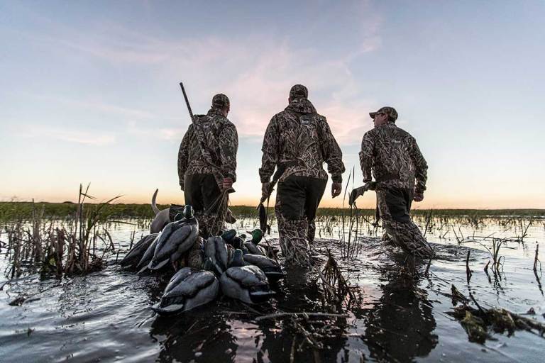 Best Public Duck Hunting States for Waterfowlers to Try