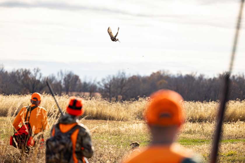 Habitat Flats' Year-Long Efforts Make for a Dream Duck Season - Wide ...