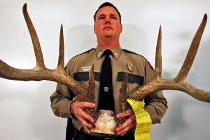 Hunter Harassment Laws: An Overview and When You Should Call the Game ...