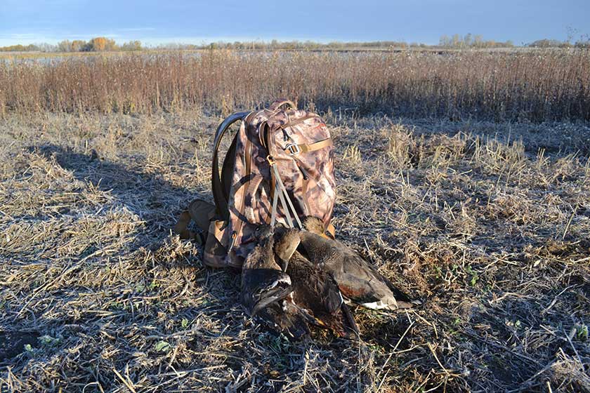 Waterfowl Hunting Tips: 10 Pieces of Advice From an Expert